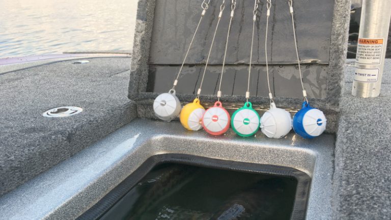 Building the Best Culling Systems for Bass Fishing ⋆ Tackle Scout