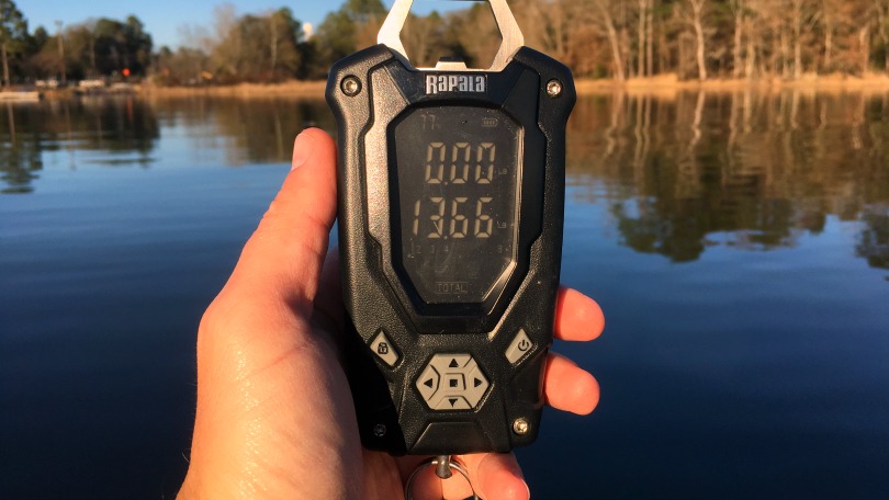 Rapala High Contrast Digital Scale Review ⋆ Tackle Scout