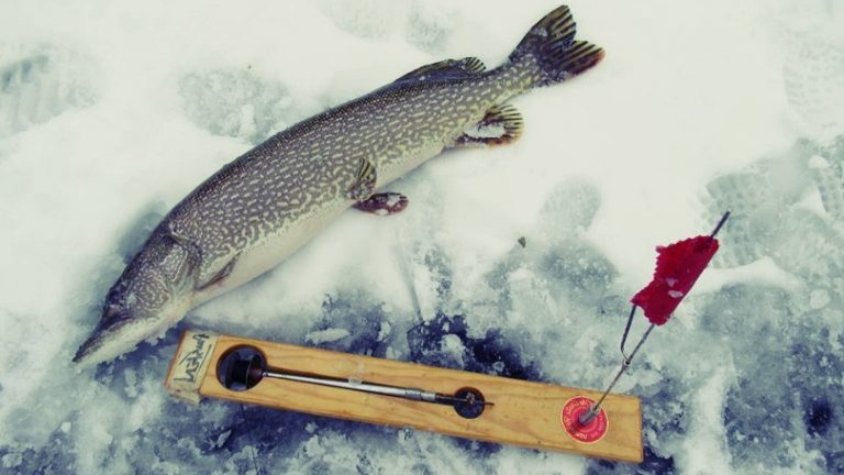 10 Proven Tip Up Ice Fishing Tips & Strategies ⋆ Tackle Scout