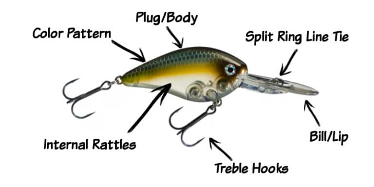 What is a Crankbait? Types & Bill Shapes Explained ⋆ Tackle Scout