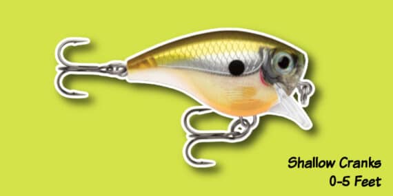 What is a Crankbait? Types & Bill Shapes Explained ⋆ Tackle Scout