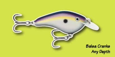 What is a Crankbait? Types & Bill Shapes Explained ⋆ Tackle Scout