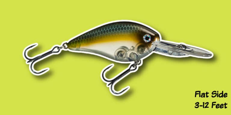 What is a Crankbait? Types & Bill Shapes Explained ⋆ Tackle Scout