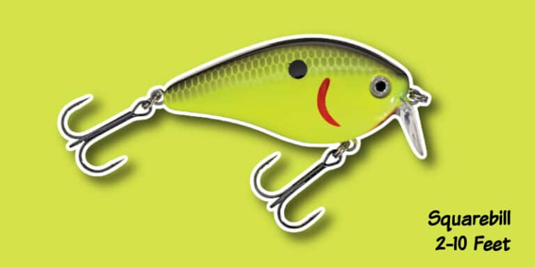 What is a Crankbait? Types & Bill Shapes Explained ⋆ Tackle Scout